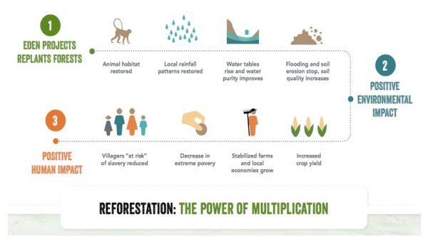 Met Eden Reforestation Projects bomen planten | Oak Travel Blog